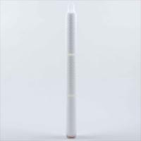 China 0.45μm PTFE Cartridge Filter 30