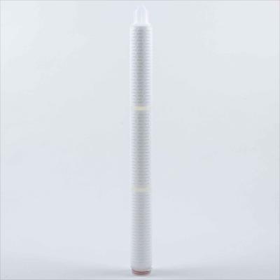 China 0.45μm PTFE Cartridge Filter 30