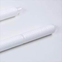 China PES Membrane Filter Cartridge 0.45μm 20