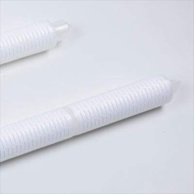 China PES Membrane Filter Cartridge 0.45μm 20