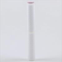 China 20 Inch 0.22μm PES Membrane Filter Cartridge for Pharmaceutical Sterilization with 1.36m² Filtration Area for sale