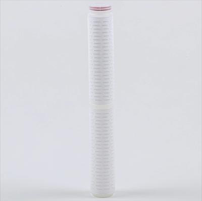 China 20 Inch 0.22μm PES Membrane Filter Cartridge for Pharmaceutical Sterilization with 1.36m² Filtration Area for sale