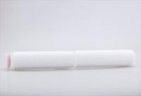 China 20 inch 0.45 micron EVOH Nanofiber Membrane Cartridge Filter for Pharmaceutical Water Prefiltration for sale