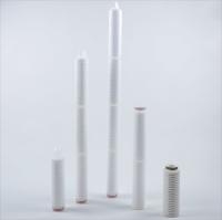 China WECHANGE PP Pleated Filter Cartridge 40