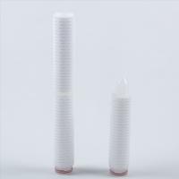 China PTFE Air Sterilization Filter Cartridge 0.22μm 20