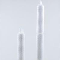 China PP Pleated Filter Cartridge 5μm 20