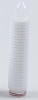 China PP Pleated Air Filter Cartridge 5μm 10