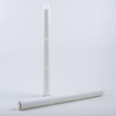 China 69mm OD PES Membrane Filter Cartridge 0.1μm 30