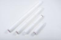 China 0.1μm PES Membrane Filter Cartridge 10