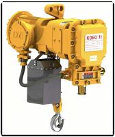 China 380V Flame Proof Hoist 3 Phase 1T Chain Hoist Exd II CT4 IP65 Motor for sale