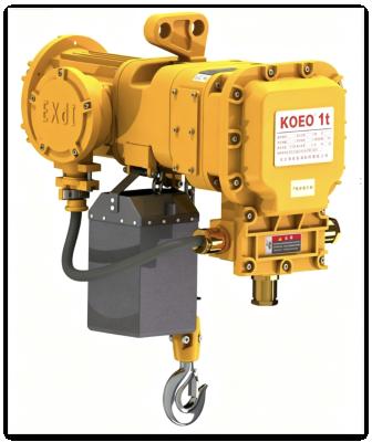 China 380V Flame Proof Hoist 3 Phase 1T Chain Hoist Exd II CT4 IP65 Motor for sale
