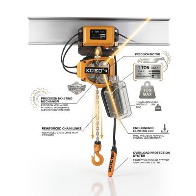 China Single Chain Electric Crane Hoist Overhead Bridge Crane Hoist Light Duty for sale