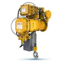 China 3 Ton Explosion Proof Electric Hoist Exd II CT4 Variable Speed Hoist IP65 G80 Chain 380V Yellow Precision for sale
