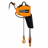 China 0.25 T – 2 T Single Phase Electric Hoist Electric Hoist Light Duty Portable for sale