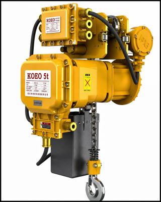 China Exd II CT4 5 Ton Hoist IP65 Twin Motor Heavy Duty Hoist 380V G80 Chain Yellow for sale