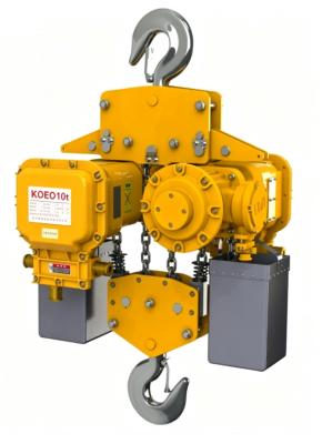 China 12m Lift Explosion Proof Electric Chain Hoist IP55 10 Ton Chain Hoist Exd II CT4 8 Fall Chain for sale