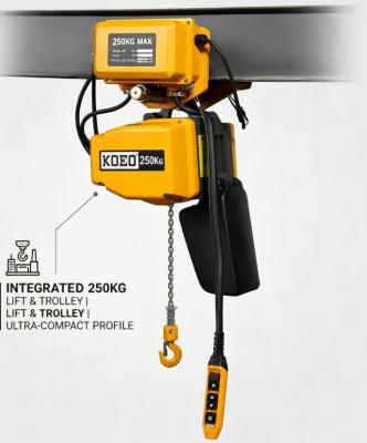 China Portable Small Hoists Electric 0.25 Ton Light Duty Electric Hoist Compact for sale