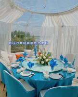 China Programmable Dining Bubble Tent Starry Sky Outdoor Ho Simple Configuration for sale