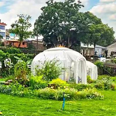 China High Efficiency Non Toxic Material 6m Geodesic Dome Automotive Electronics for sale