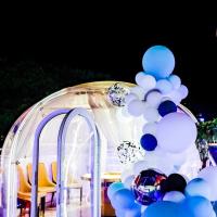 China PC Polycarbonate Transparent Polycarbonate Geodesic Dome Low Ripple for sale