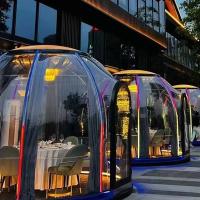 China Outdoor Glamping Geodesic Precision Outdoor Glamping Geodesic Dome Polycarbonate Rohs Compliant for sale