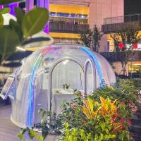 China Amorphous Transparent PC Clear Transparent Geodesic Dome ISO 9001 for sale