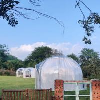 China Thermal Management Bubble Tent Ho Outdoor Trade Show Hotel Garden Rohs Compliant for sale