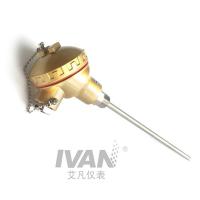 China Customized Support OEM High Temperature Armored WZP Thermocouple with Single Thread for sale