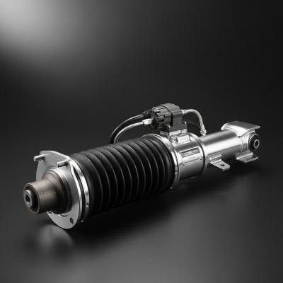 China Porsche Air Shock Absorber Front Left 2.5kg Standard Size for Multiple Models for sale