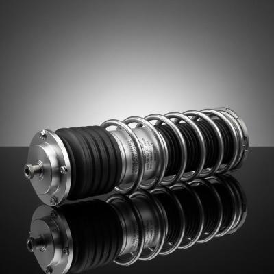 China Mercedes Benz Air Shock Absorber 2213204313 2213204413 for W222 W220 S280 2020 for sale