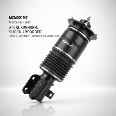 China Mercedes Benz Air Suspension Shock Absorber 2213204313 2213204413 for W220 S280 2020 for sale