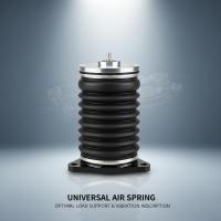 China Mercedes Air Suspension Spring 2113200728 2113200828 OEM Quality 2.397kg for sale