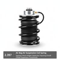 China Air Suspension Coil Spring 2.397kg Gas Pressure for A6 C8 4K A6 Avant Q7 4M for sale