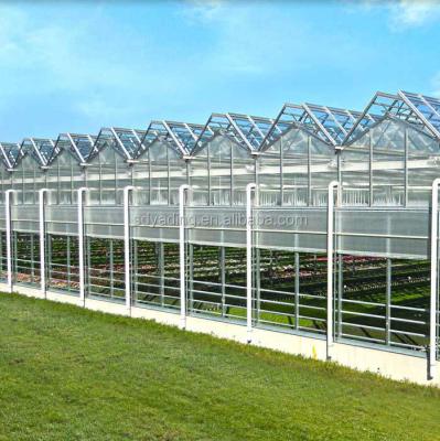 China PO or PE Profession Commercial Greenhouse Tropical Greenhouse Manufacturer From China for sale