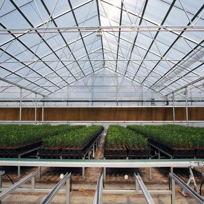 China Stable Structure Easily Assembled 30x100 Ft Deprivation Greenhouse Blackout Material 99% Lightweight Shade Net For Agriculture for sale