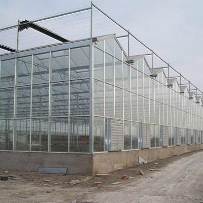 China Multi-span Stable Glass Greenhouse Agriculture Manufacturer Structure Hydroponic Greenhouse for sale