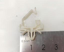 China Glory Counter Spare Parts GFS-120-89  9*13Φ5*2 Snap for sale