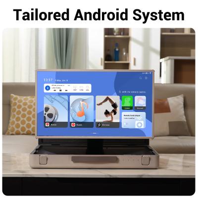 China Android 12 Wifi Tablet ELC PackGo Portable BT 5.2 Smart Tv Touch Screen HD Television for sale