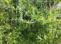 China Horticulture & Gardening- Deer Fence / Plastic Netting Fencing, Deer Control Plastic Mesh Fencing for sale