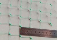 China Agriculture & Farming, Green Diamond Plastic Anti-Bird Netting for sale