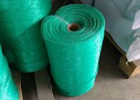 China Agriculture & Farming, Green Diamond Plastic Anti-Bird Netting for sale