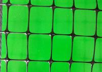 China Agriculture & Farming - High Strength Plastic Garden Netting, Farm Fence for sale