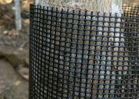 China Agriculture & Farming - Plastic Tree Bark Protectors, Young Tree Guard,Tree Mesh Guards, Resistant to UV rays for sale