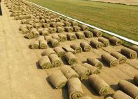 China Agriculture & Farming – Turf Grass Growing Netting, PP+UV, Green for sale