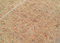 China Industry – Bilateral Oriented Plastic Nets for Erosion Control Blankets, Polypropylene Netting for Coconut Blankets for sale