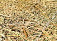 China Industry – Bilateral Oriented Plastic Nets for Erosion Control Blankets, Polypropylene Netting for Coconut Blankets for sale