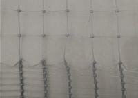China Horticulture & Gardening, Plastic Chicken Netting, Plastic Fence Netting, Poultry Netting for sale