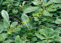 China Agriculture & Farming, Green Diamond Plastic Anti-Bird Netting for sale