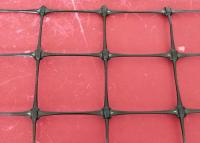 China Agriculture & Farming - High Strength Plastic Garden Netting, Farm Fence for sale