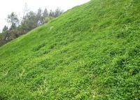 China Civil – Three Dimensional Erosion Blanket/ Geomat for sale